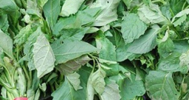 OLADELE SUNDAY: 5 health benefits of eating bitter leaf