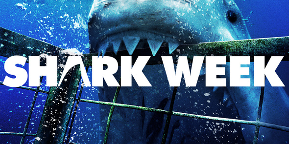 Plantation Resort Insider: Shark Week Fun Facts - Celebrate Shark Week ...