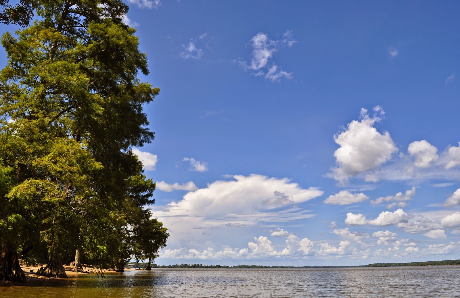 A Tidewater Paddler: James River - Claremont Beach - 9/6/14