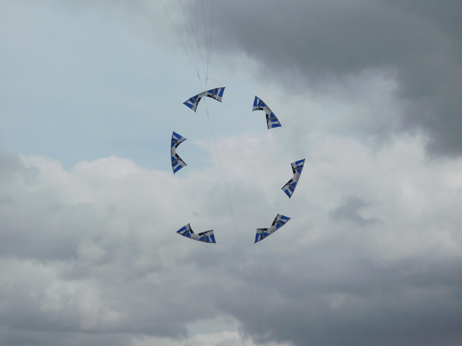 Flying Fish Kiting Team: Dunstable Kite Festival