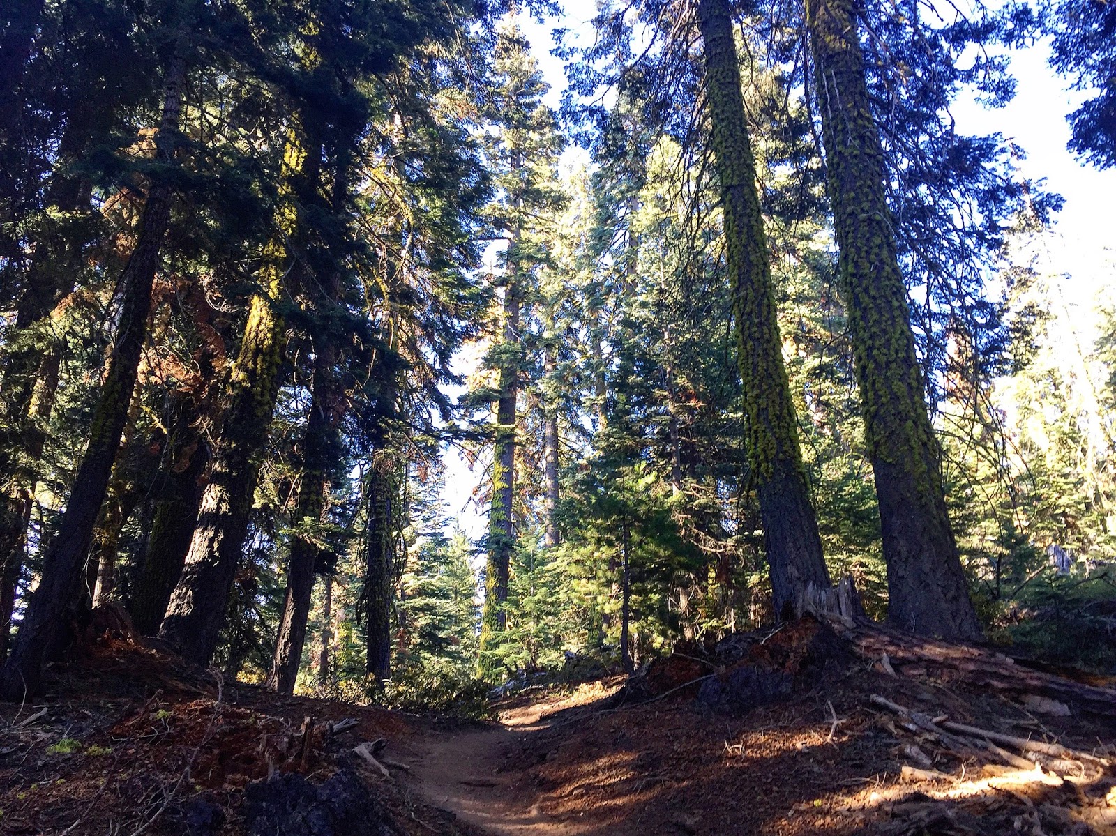 Run-Hike-Play: Backpacking to Dewey Point at Yosemite National Park 8/6 ...