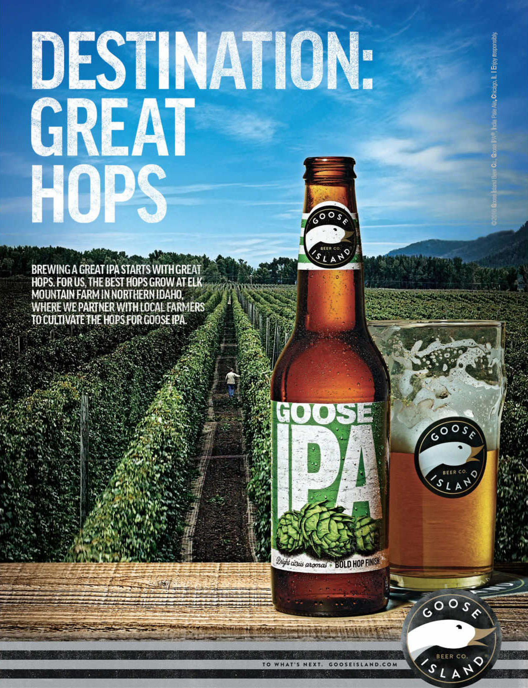 American beer print advertising. Part 1