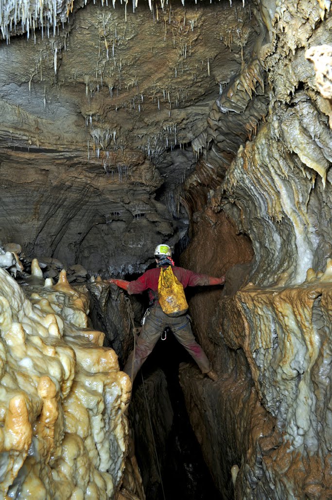 Asteroko kronikie: 2011