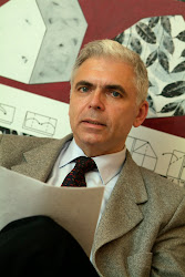 Adrian Severin: Romania nu poate avea decat o singura politica externa