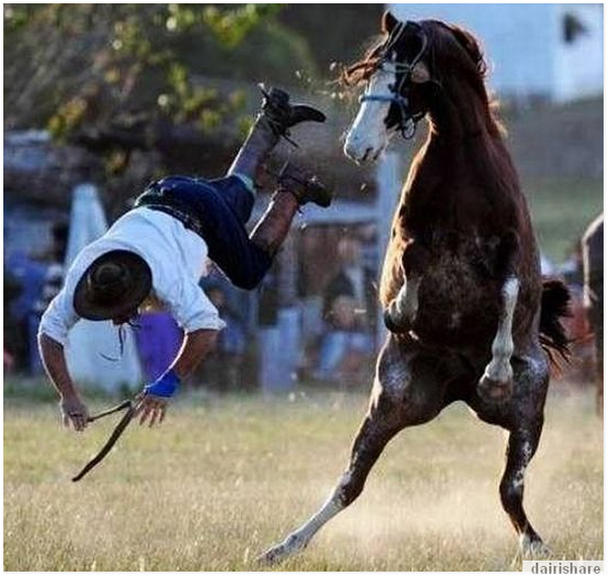 sinar harian hari ini: Gambar Ngeri Yang Ambil Tepat Pada Waktunya