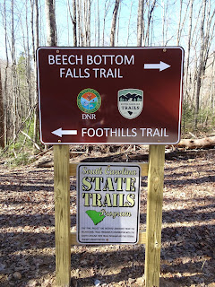 Femme au foyer: Beech Bottom Falls (aka Pinnacle Falls)