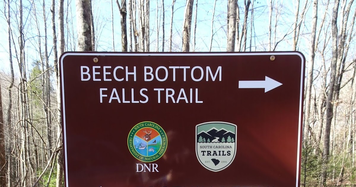 Femme au foyer: Beech Bottom Falls (aka Pinnacle Falls)