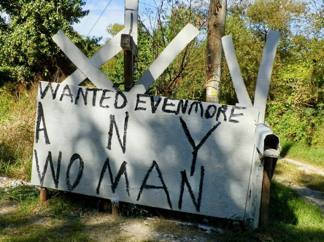 The Pocomoke Public Eye: The Rural Sign Painter