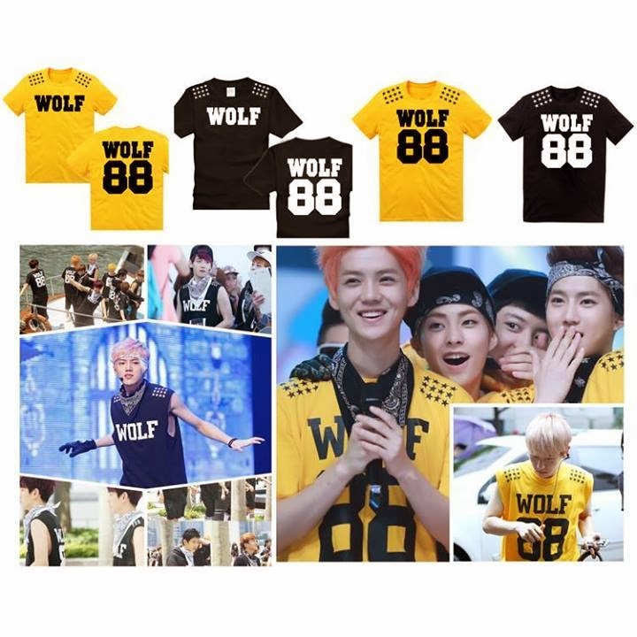 PENCINTA PASTEL: EXO MERCHANDISE