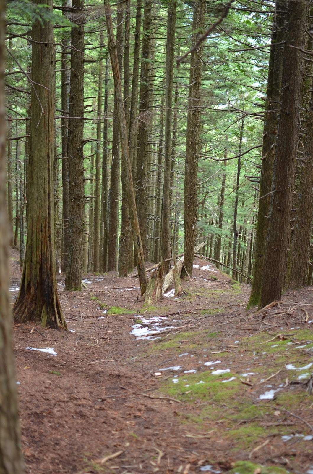 The Hapa Canadian: Dewdney Grind + Dewdney Peak, BC in November