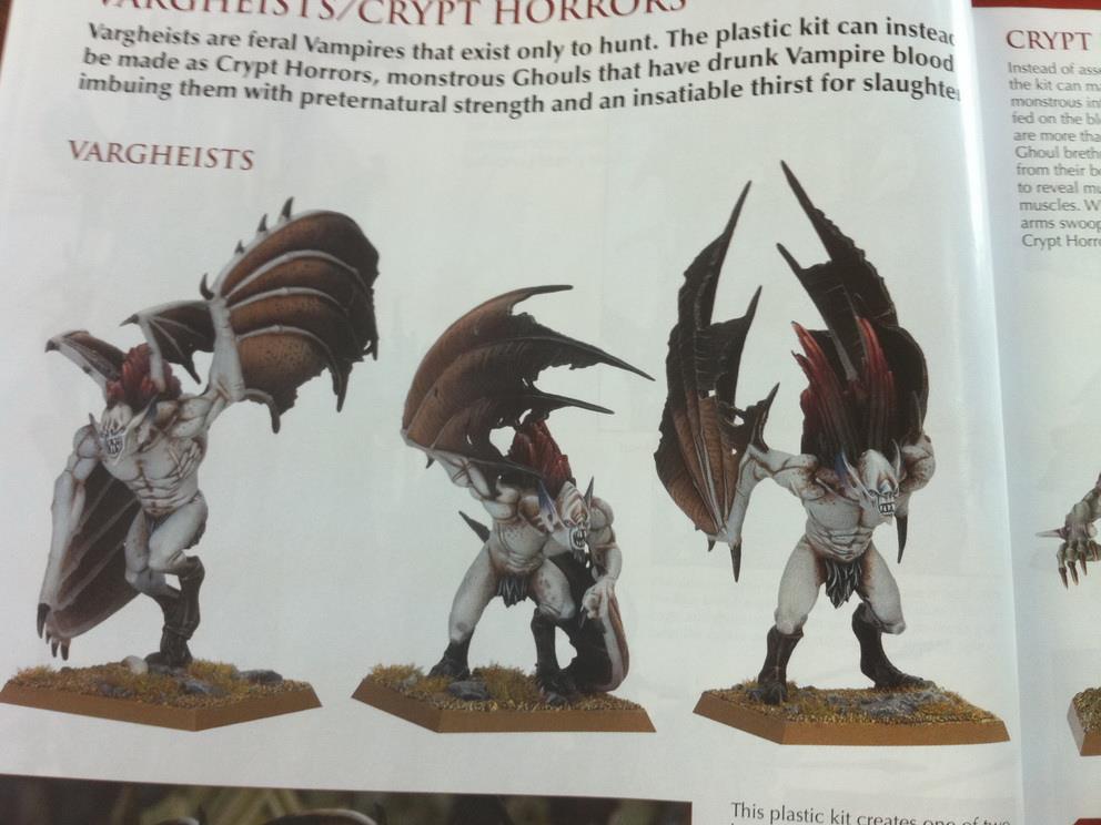 Warhammer Fantasy Battle Tabletop Gaming: New Vampire Counts Army book ...