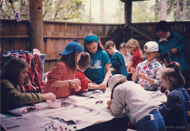 Diane Again: Teaching My Own: Glad That I'm A Girl Scout