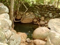 Excursión a la Feria de las Flores y el Cafe boquete 2015 ~ Servicio ...