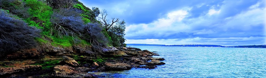 FREE WEB HEADERS: 20+ AMAZING NATURE HD WEB HEADER COLLECTION 1