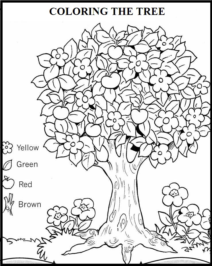 Teacher Elaine Costa Activities: Coloring the Tree