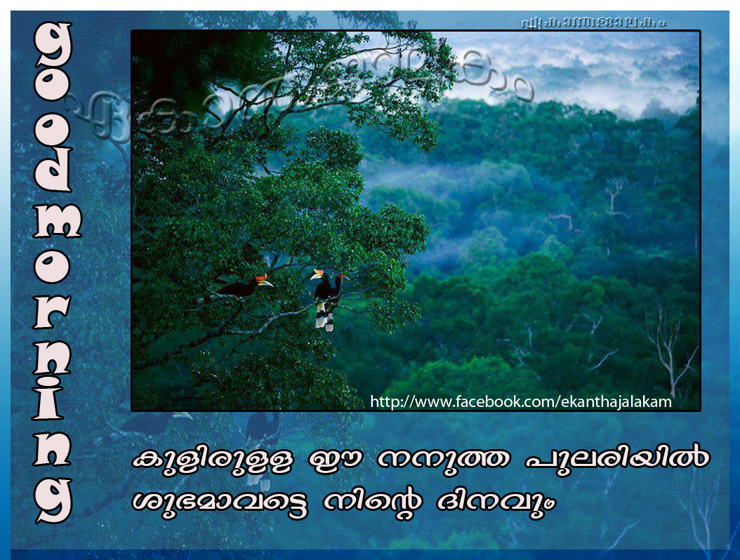 Lovely Quotes For You: Good Morning and have a cool day wishes