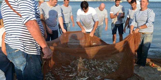 Musée Imaginaire de la Sardine: Pêcher la sardine à la force des bras