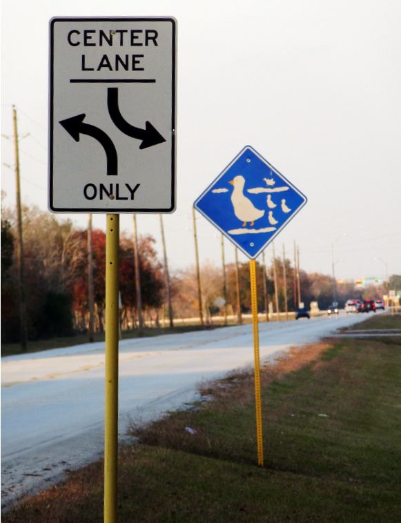 H-Town-West Photo Blog: Duck traffic control - Pics of ducks and duck ...