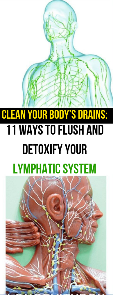 Clean Your Body’s Drains! 11 Ways To Flush And Detoxify Your Lymphatic ...