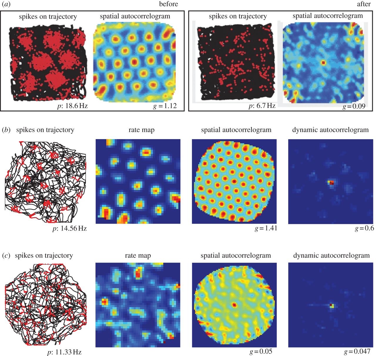 modulo art square grid - philippin news collections