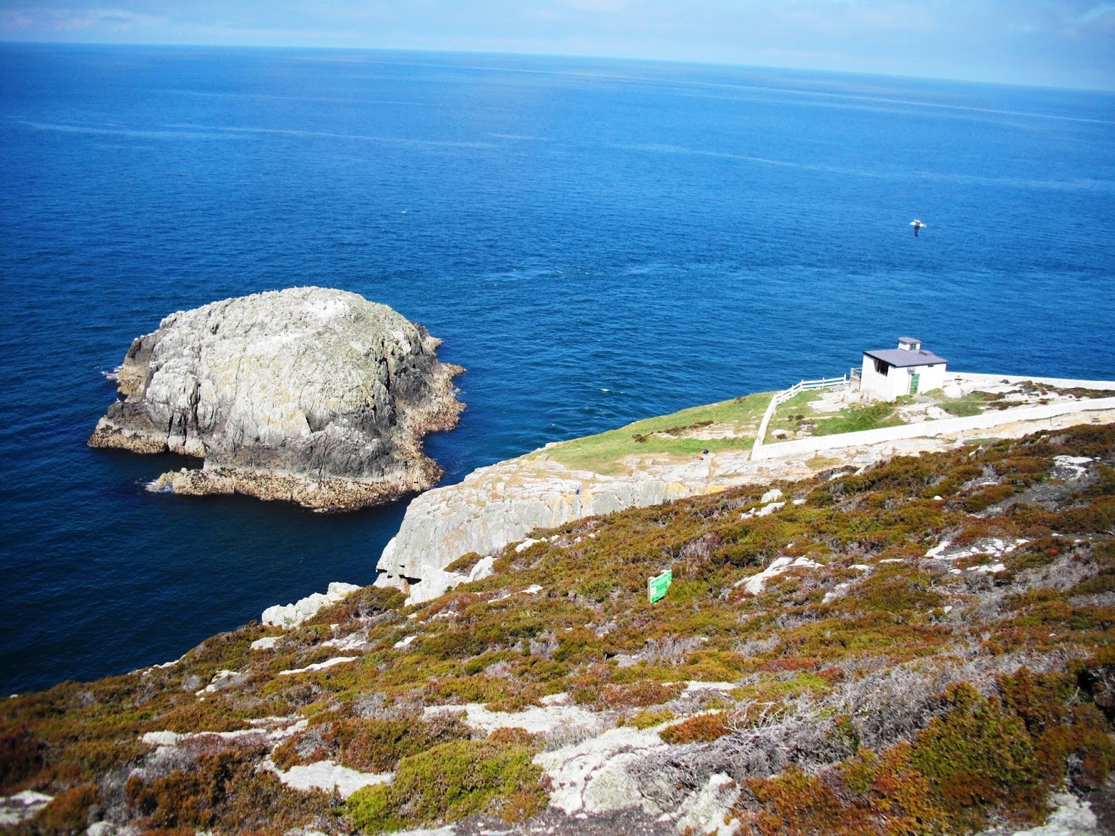 Love my life: Holyhead Coastal Walk