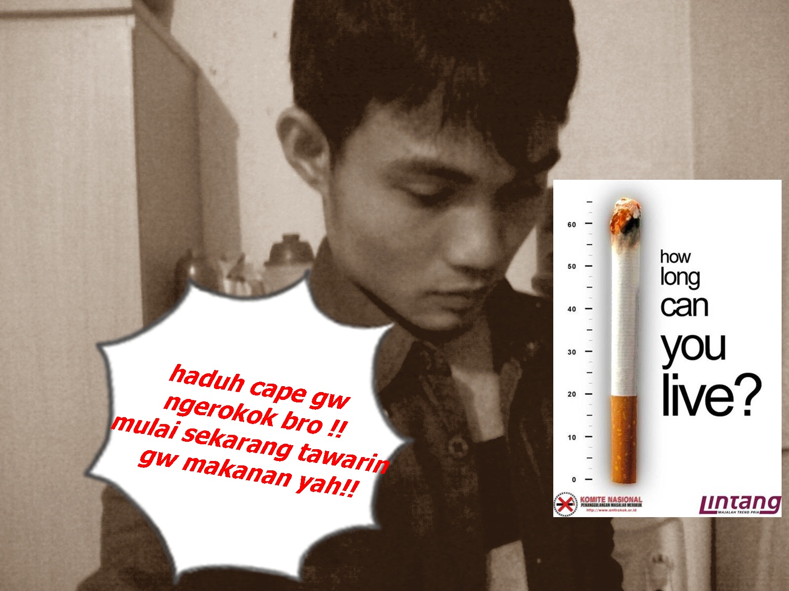 pengaruh rokok dalam kesehatan