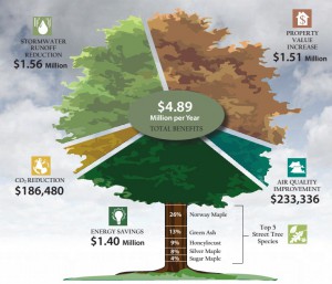 Mark's Urban Forest: The Many Benefits of Trees