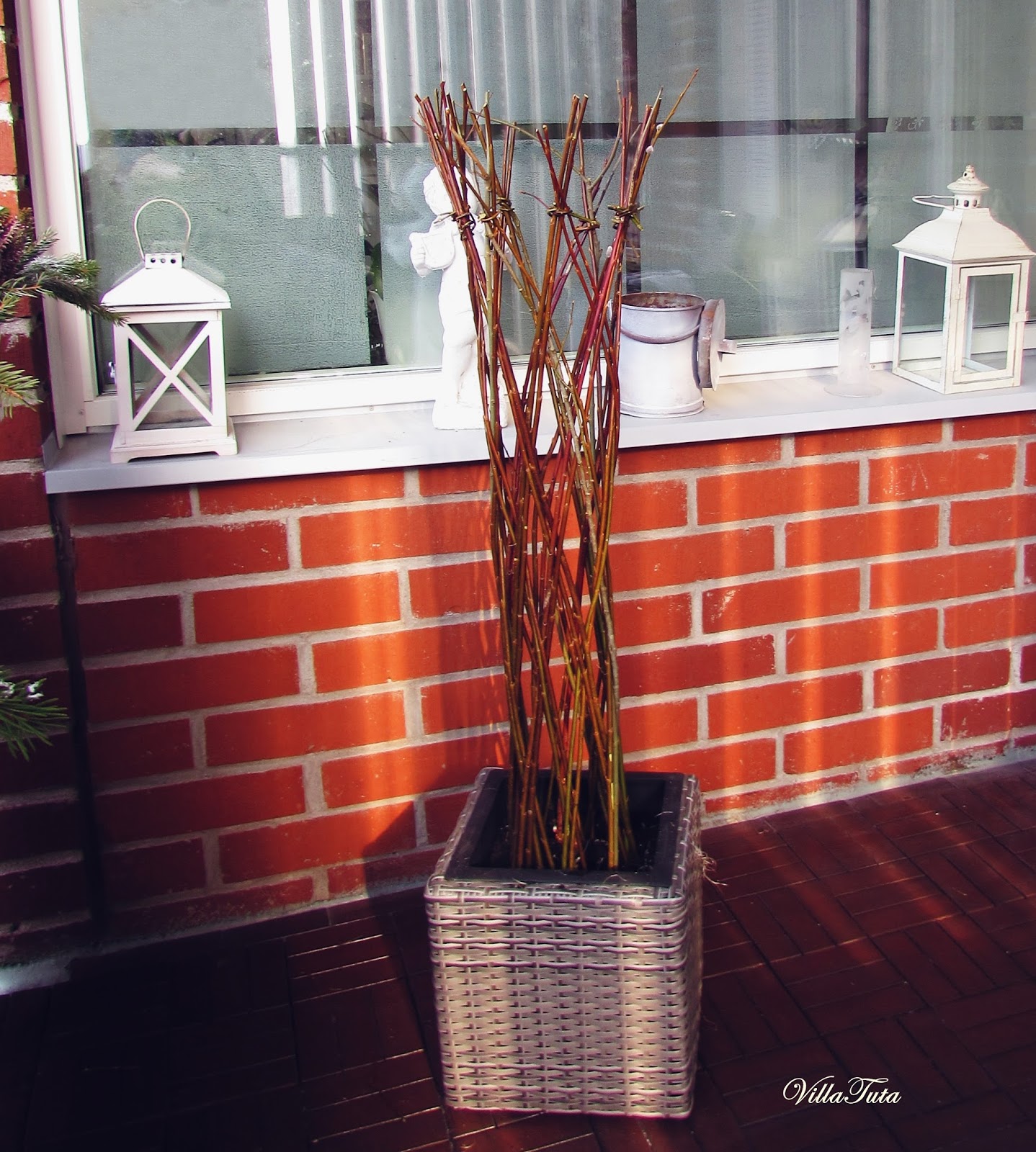 VillaTuta: Belgialainen pajupuu!