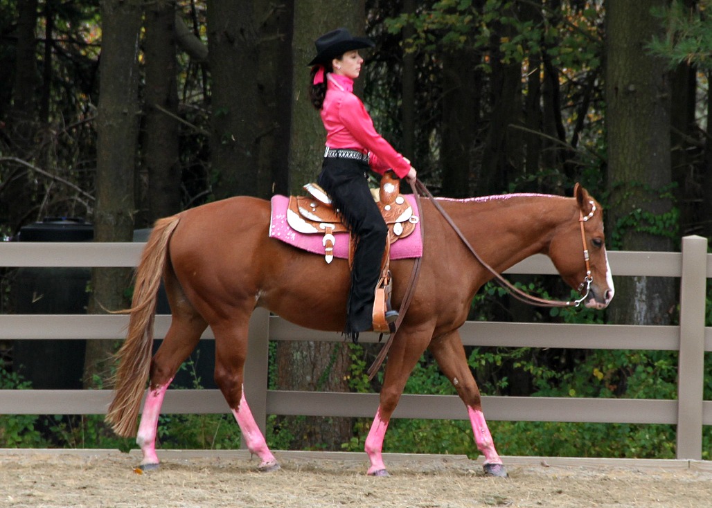 Pink Ponies – This Old House 2