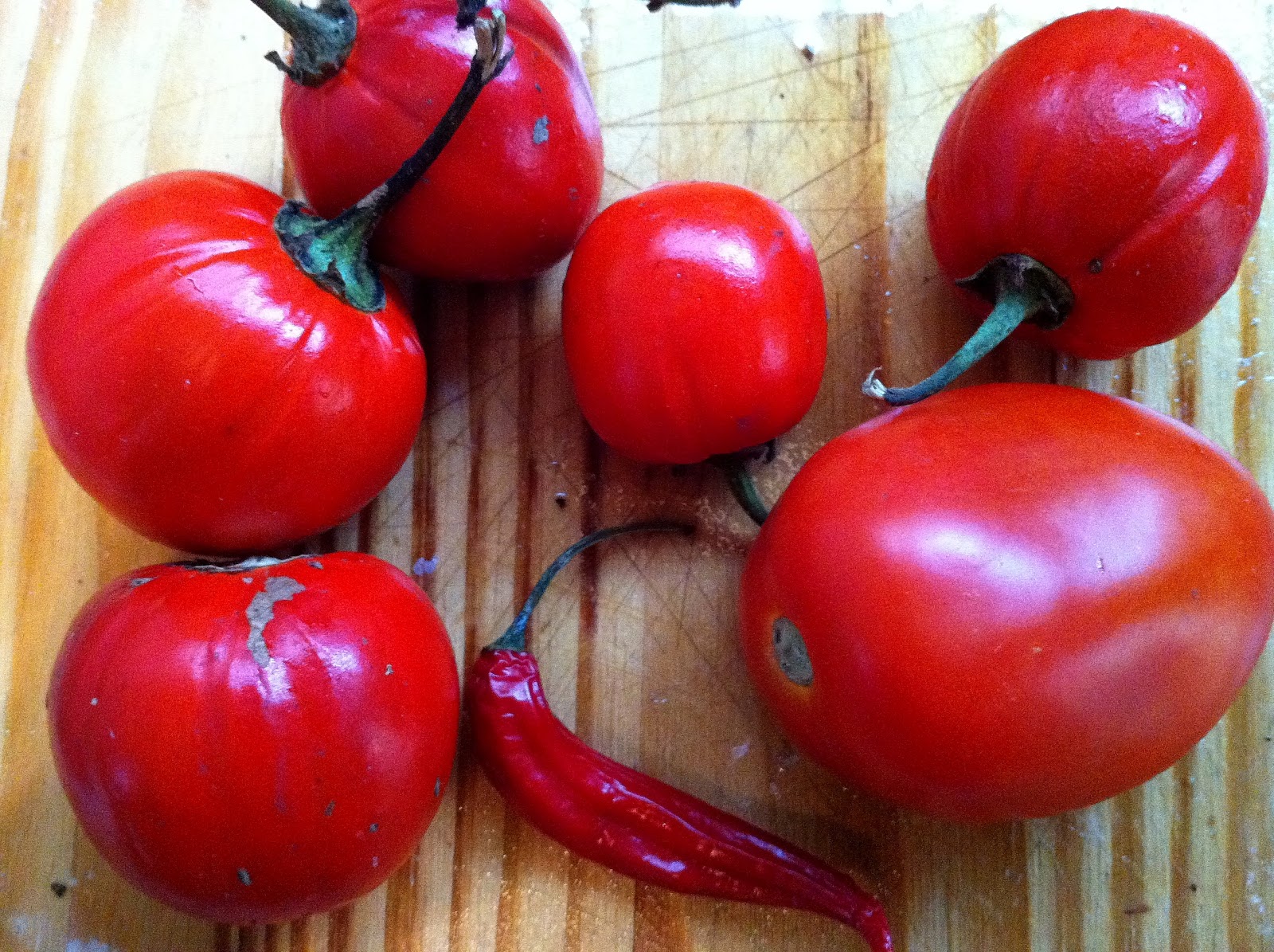 come-se: Jiló vermelho em receita indiana