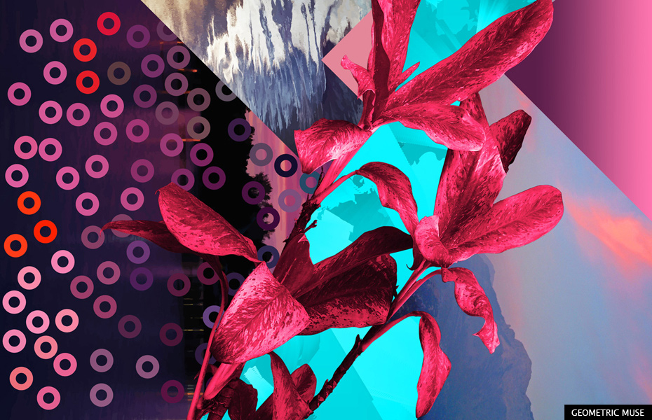 Amassing Stuff: Basso & Brooke