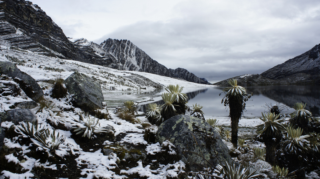 Plan Bogotá - Colombia fría - OWLS