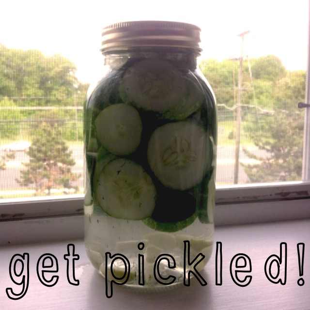 Nalls' Kitchen: The Great Pickle Experiment: Part 1