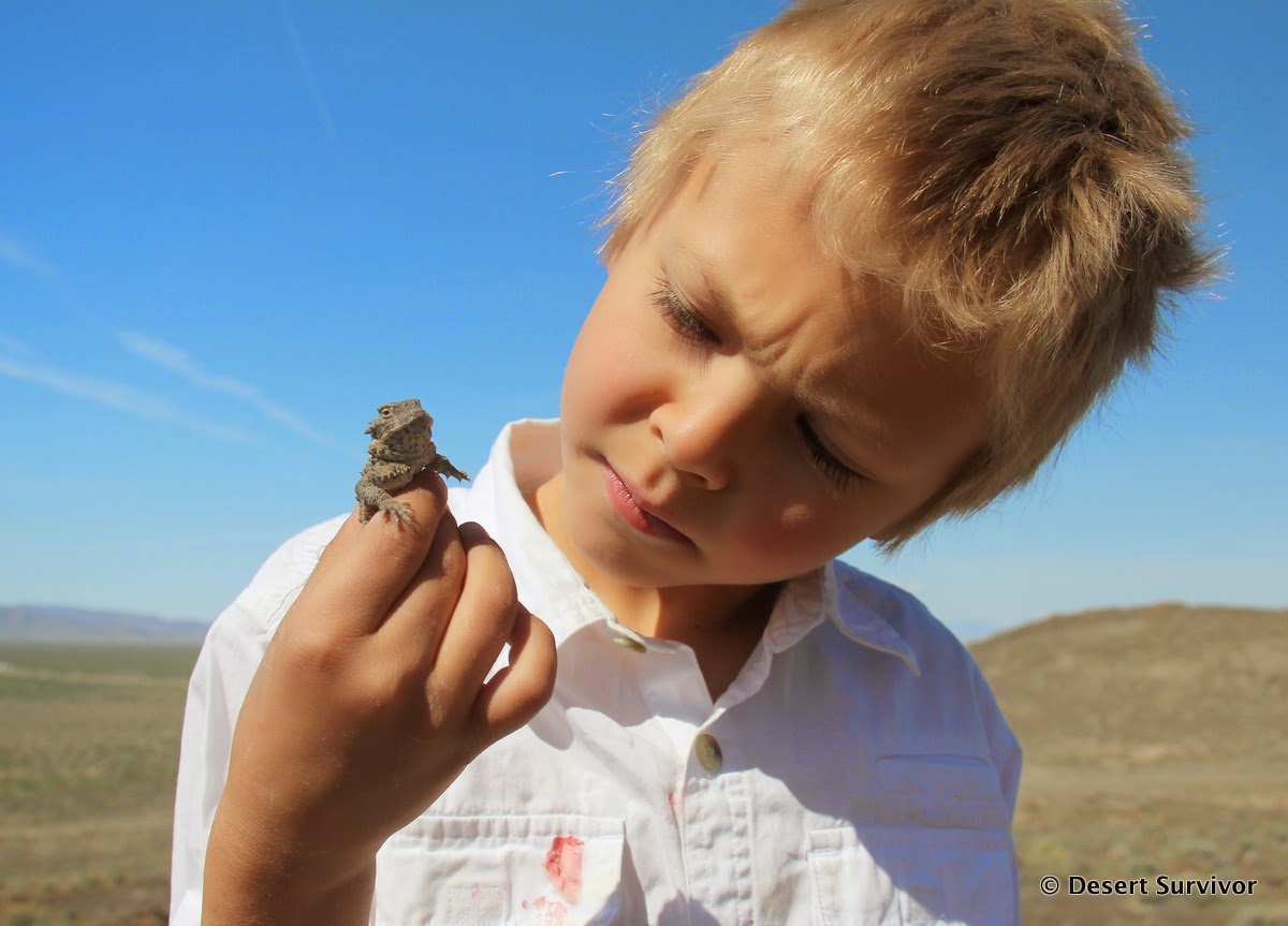 Desert Survivor: Sunstone Knoll and Clear Lake, near Delta, Utah
