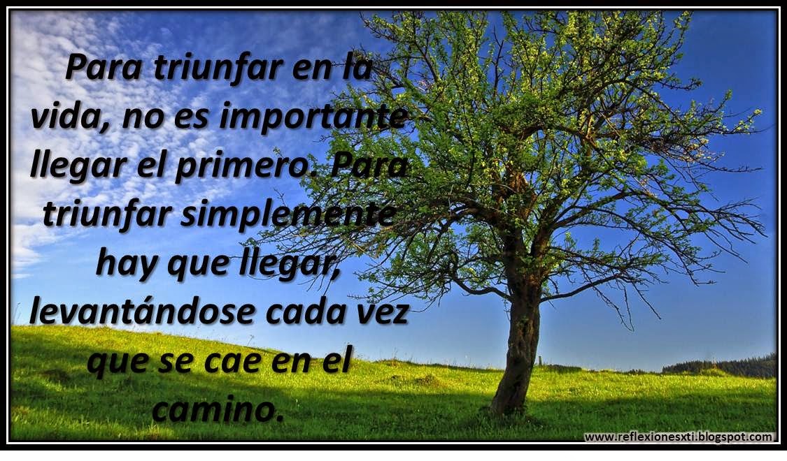 Frases, Imagenes: Para triunfar en la vida