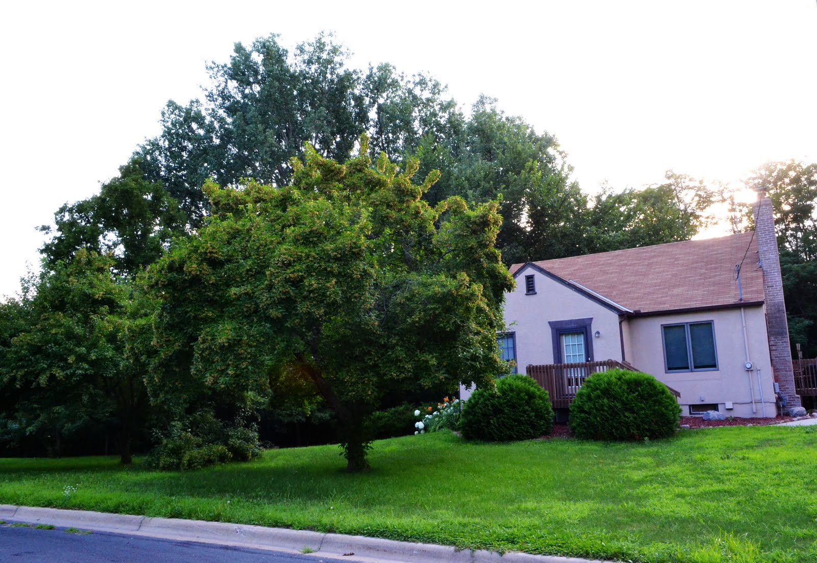 Outside House Tour |The Domestic Domicile