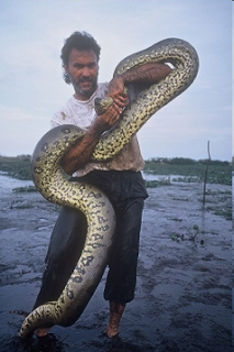 DNA of Words शब्दों का डीएनए: Bhagwan Vishnu relaxing on a bed of ...