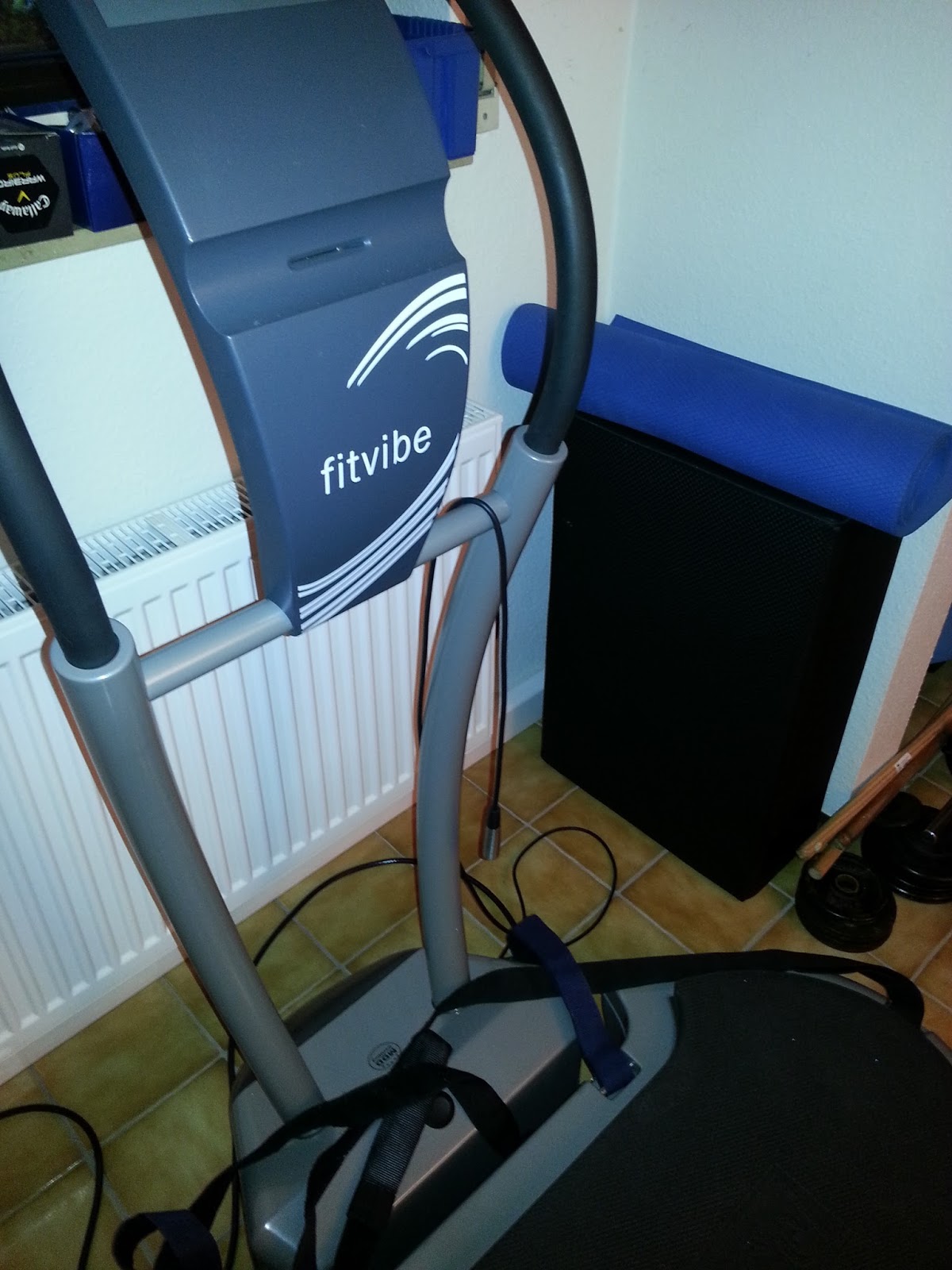 AKTIV-TRAINING: Fitvibe-Vibrationstraining