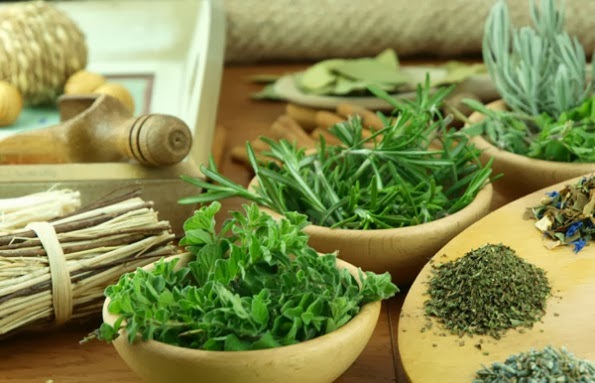 TU SALUD: 10 Plantas Medicinales y para que Sirven