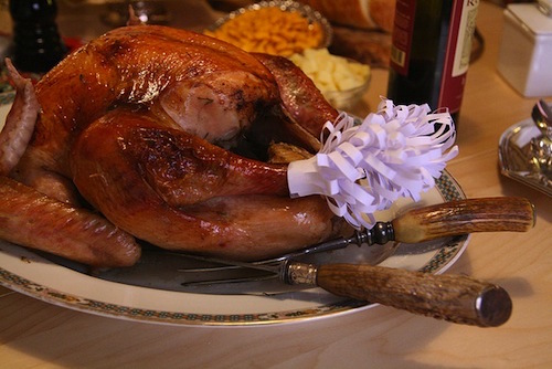 Fran Jurga`s Hoofcare + Lameness: Thanksgiving: Shoes for Turkeys? The ...