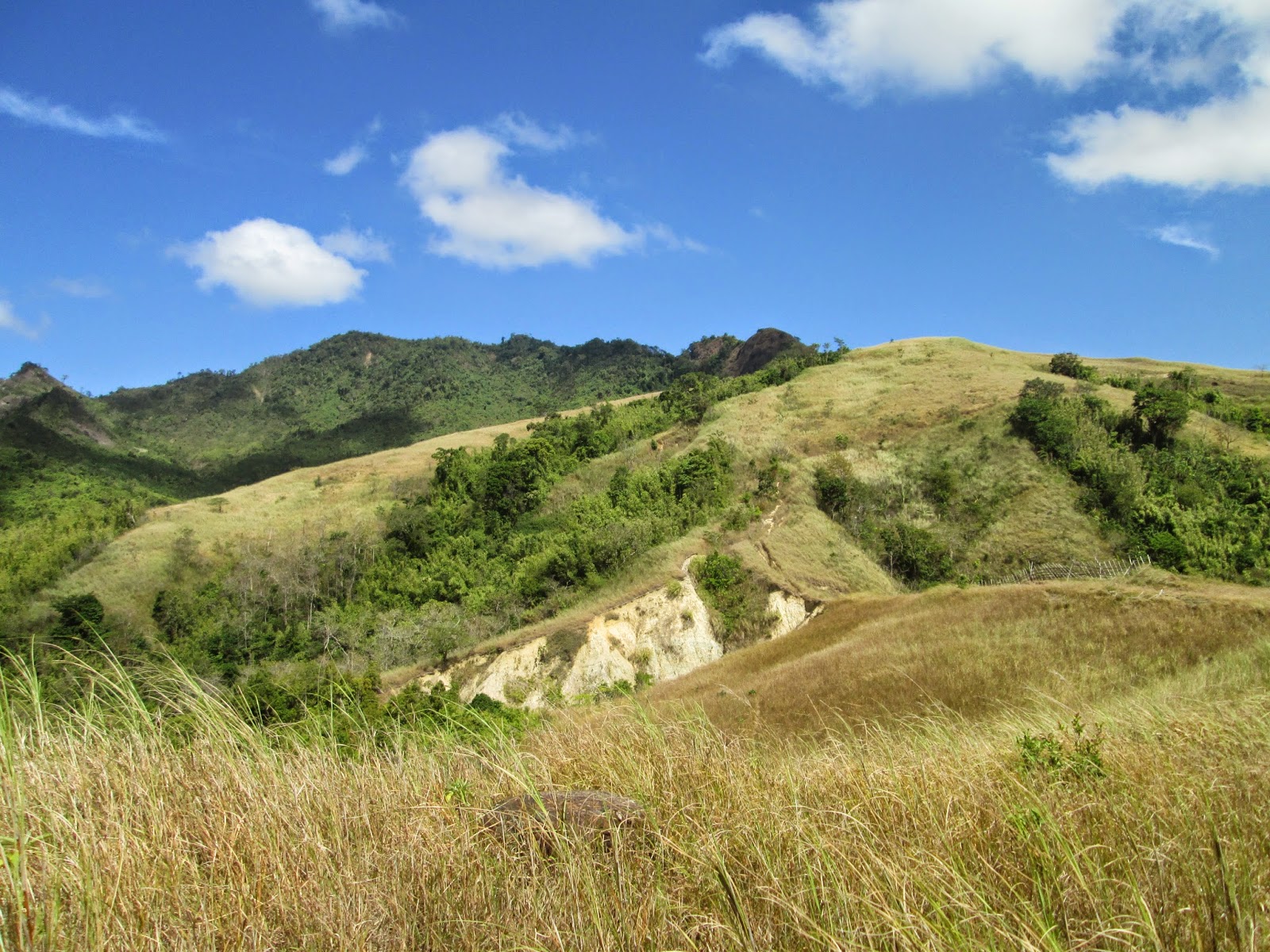 Skookum Mountaineers: Mt. Batolusong - Duhatan Ridge; Mapatag Plateau ...