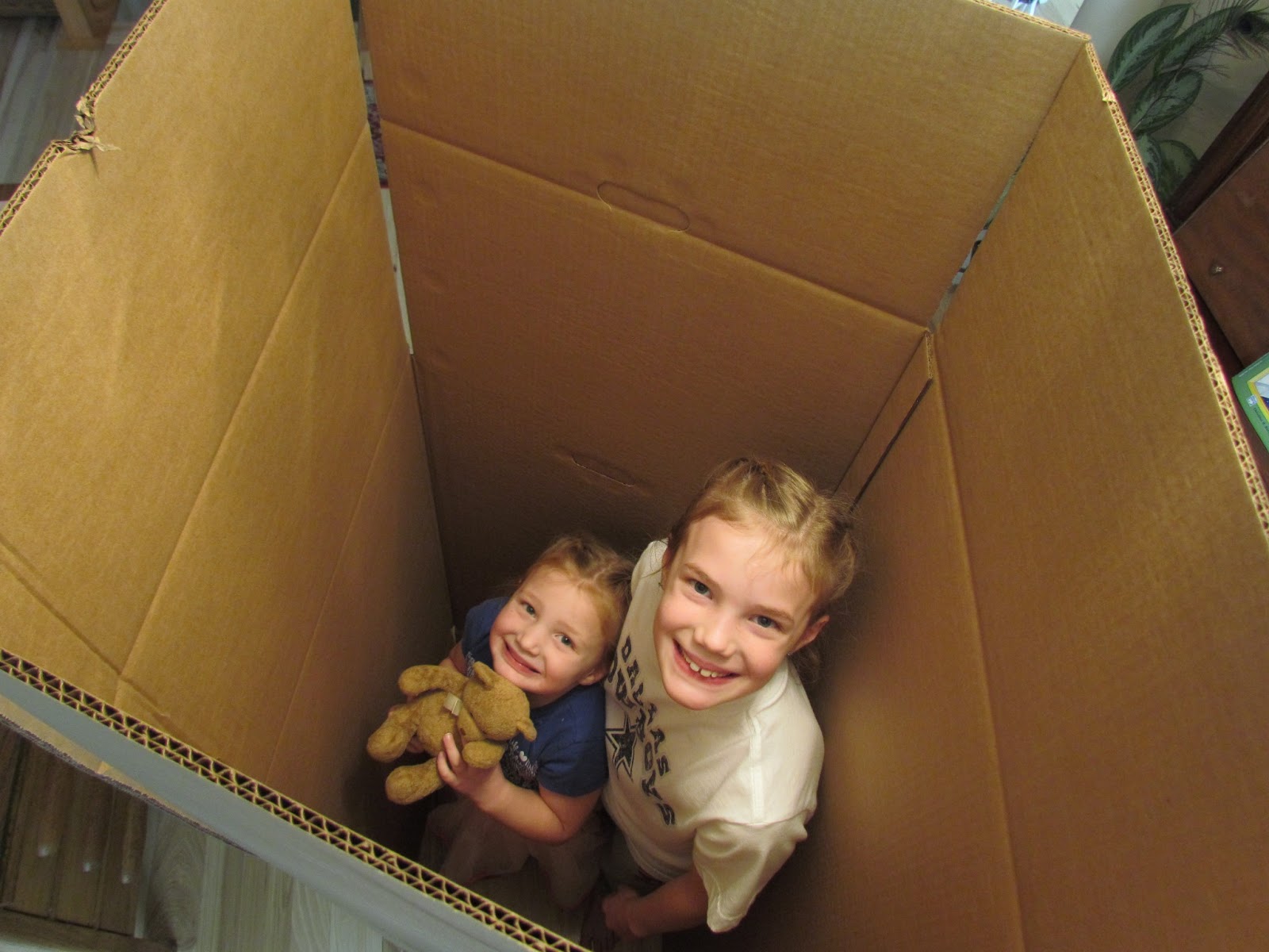 The Husker Family: Fun in a Box