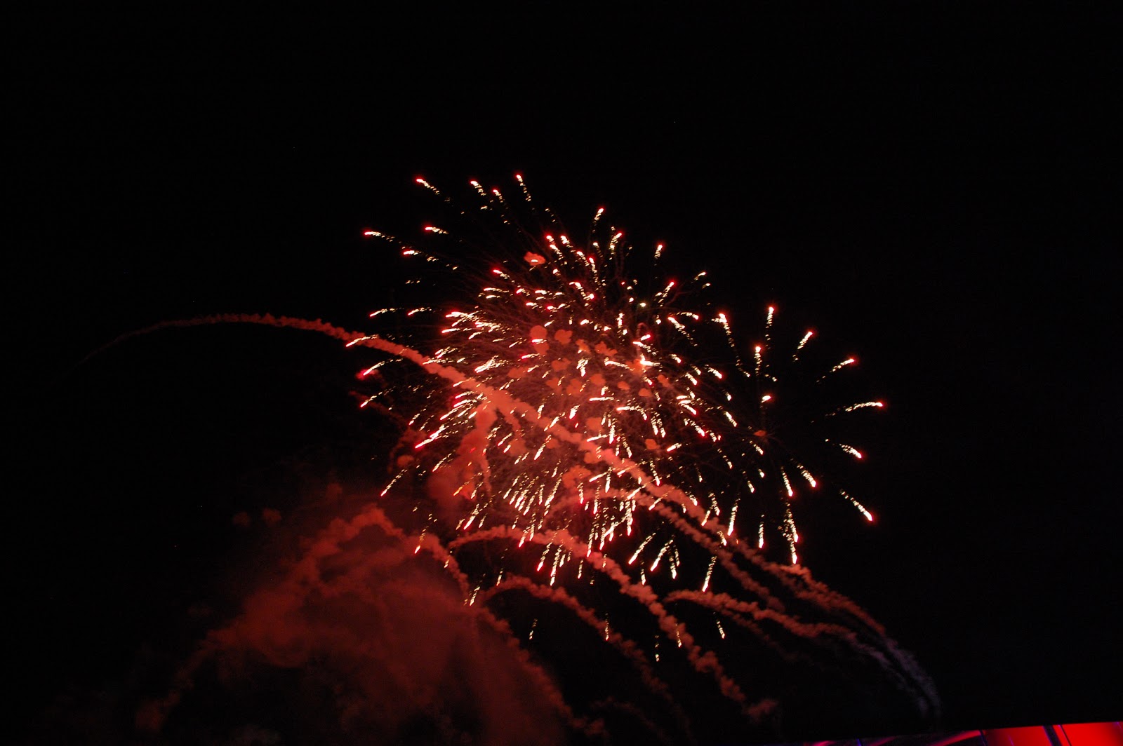 Joanna and her Amazing Technicolor Interwebs: Thanksgiving at Disney: A ...