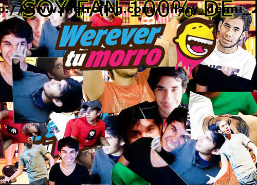 Werevertumorro clup de fans!!!: que es werevertumorro