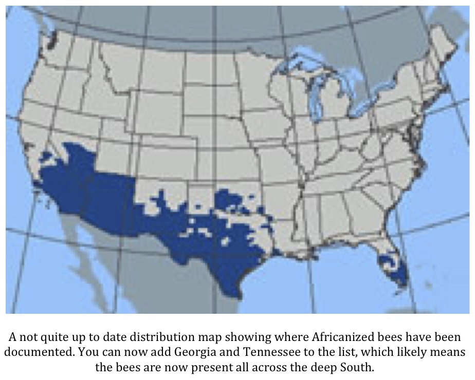 Texas Cryptid Hunter: August 2013