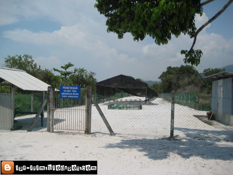 moments with my girls . . .: TURTLE MANAGEMENT CENTRE, SEGARI, PERAK