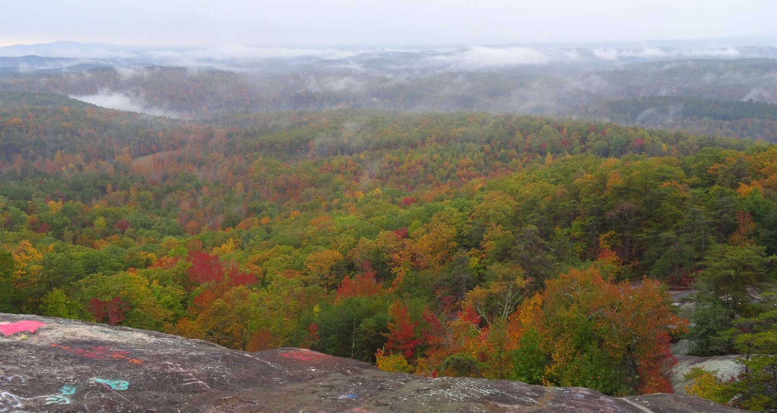 Femme au foyer: Fall Colors in the Upstate SC and Vicinity