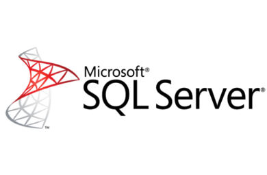 Project Skins: SQL Server 2008