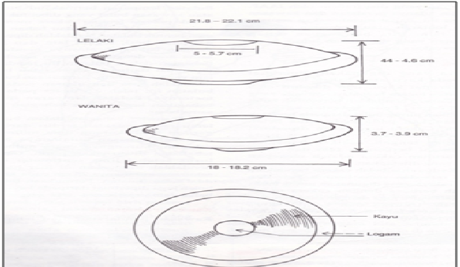 NOTA-NOTA PISMP PJ: Lempar cakera