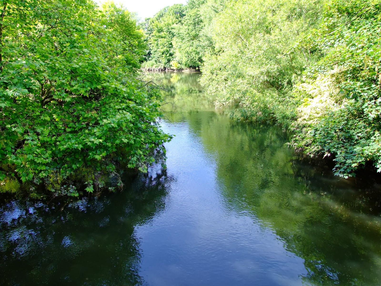 Canoeing and Kayaking on the River Itchen Navigation